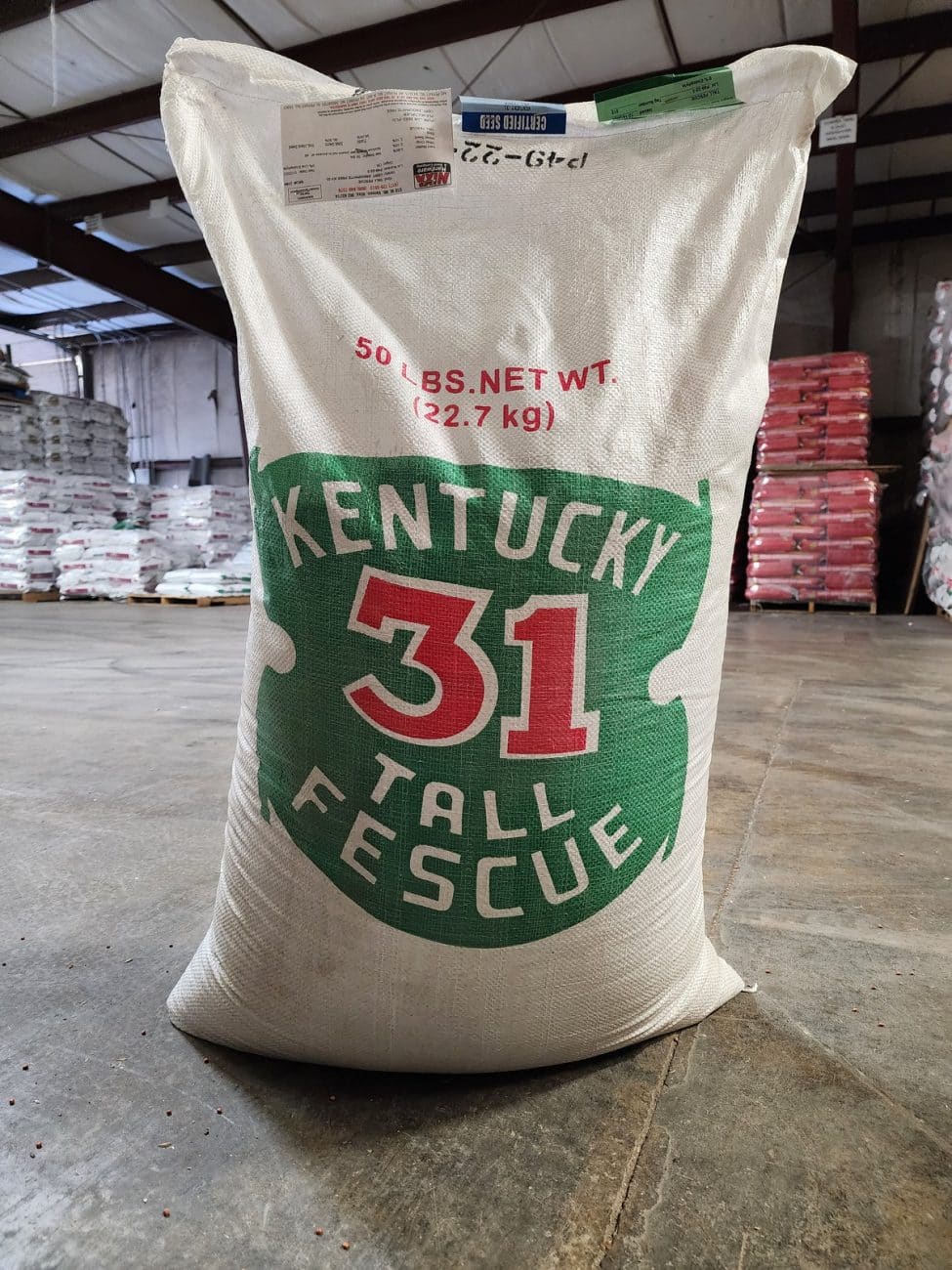 Endophyte-Free KY-31 Tall Fescue Seed - Nixa Hardware & Seed Company