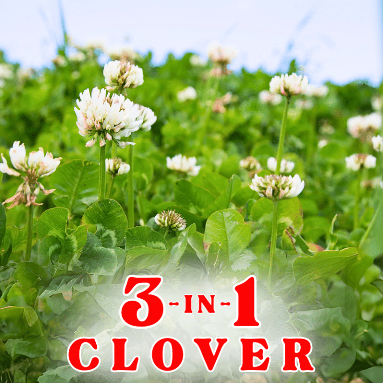 3 In 1 Clover Seed - Nixa Hardware & Seed Company